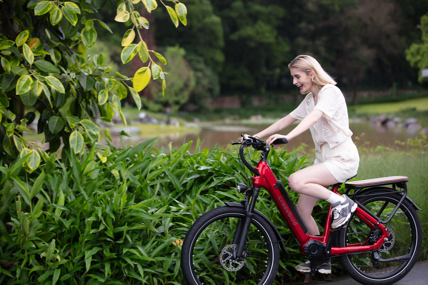crazybird Seta E-Bike